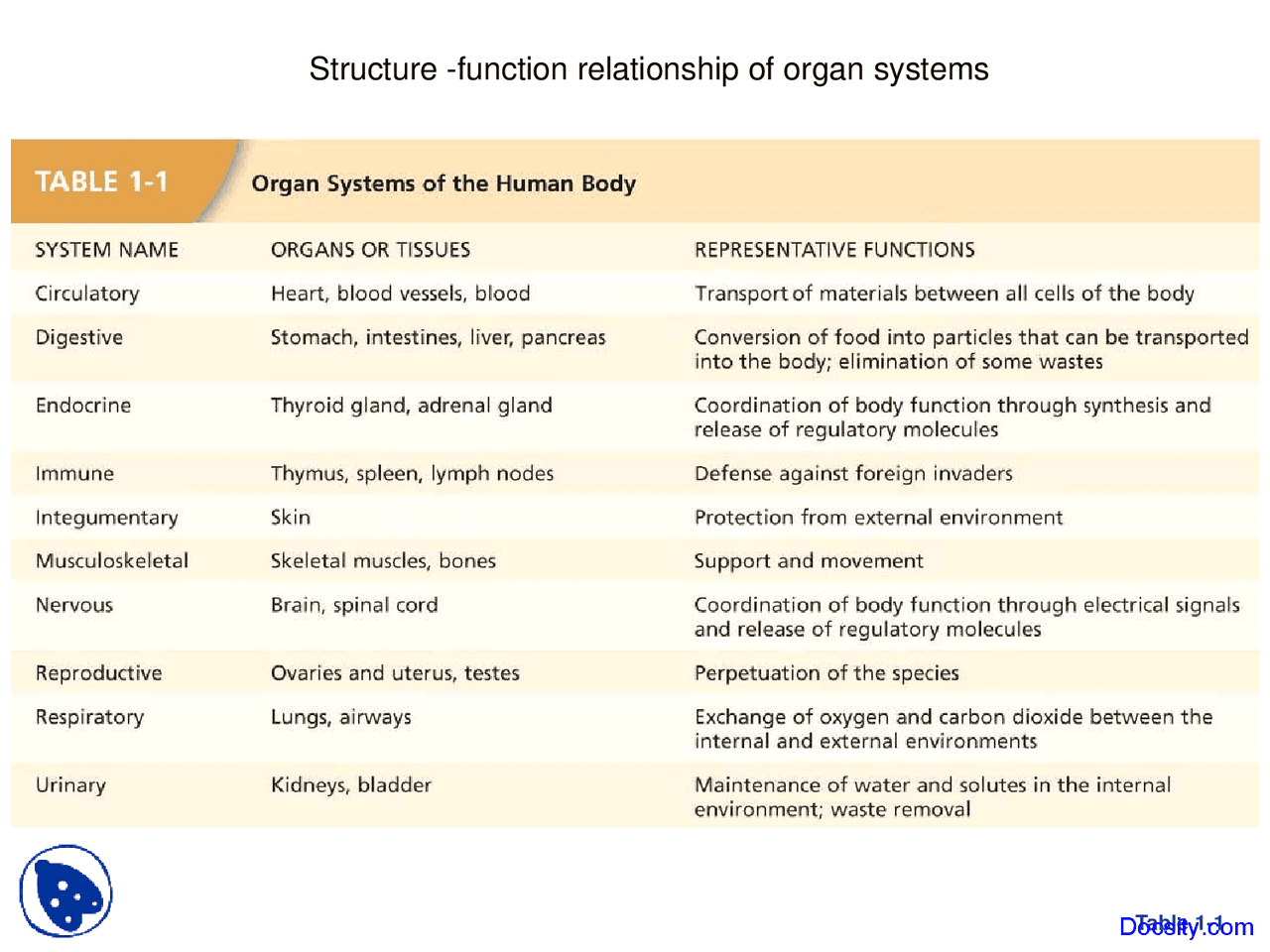 Organ Systems - Fundamentals of Biology - Lecture Slides - Docsity