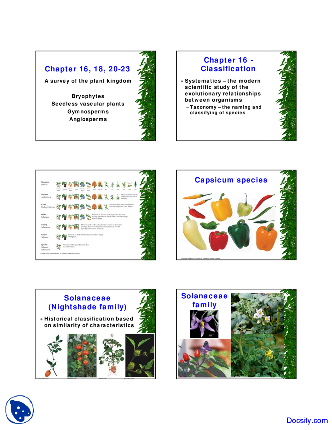 Plant Kingdom Fundamentals Of Botany Lecture Slides Slides Botany And Agronomy Docsity