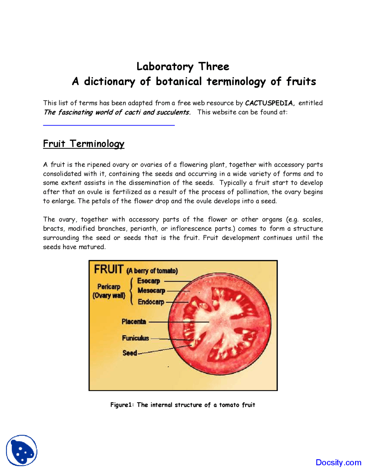 Botanical Terminology - General Botany -Lab - Docsity