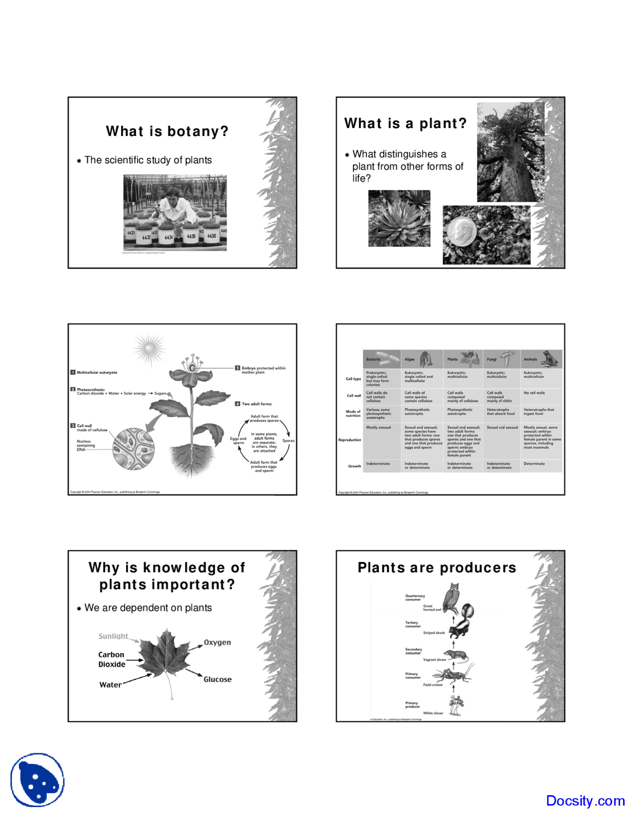 Botany Fundamentals Of Botany Lecture Slides Docsity