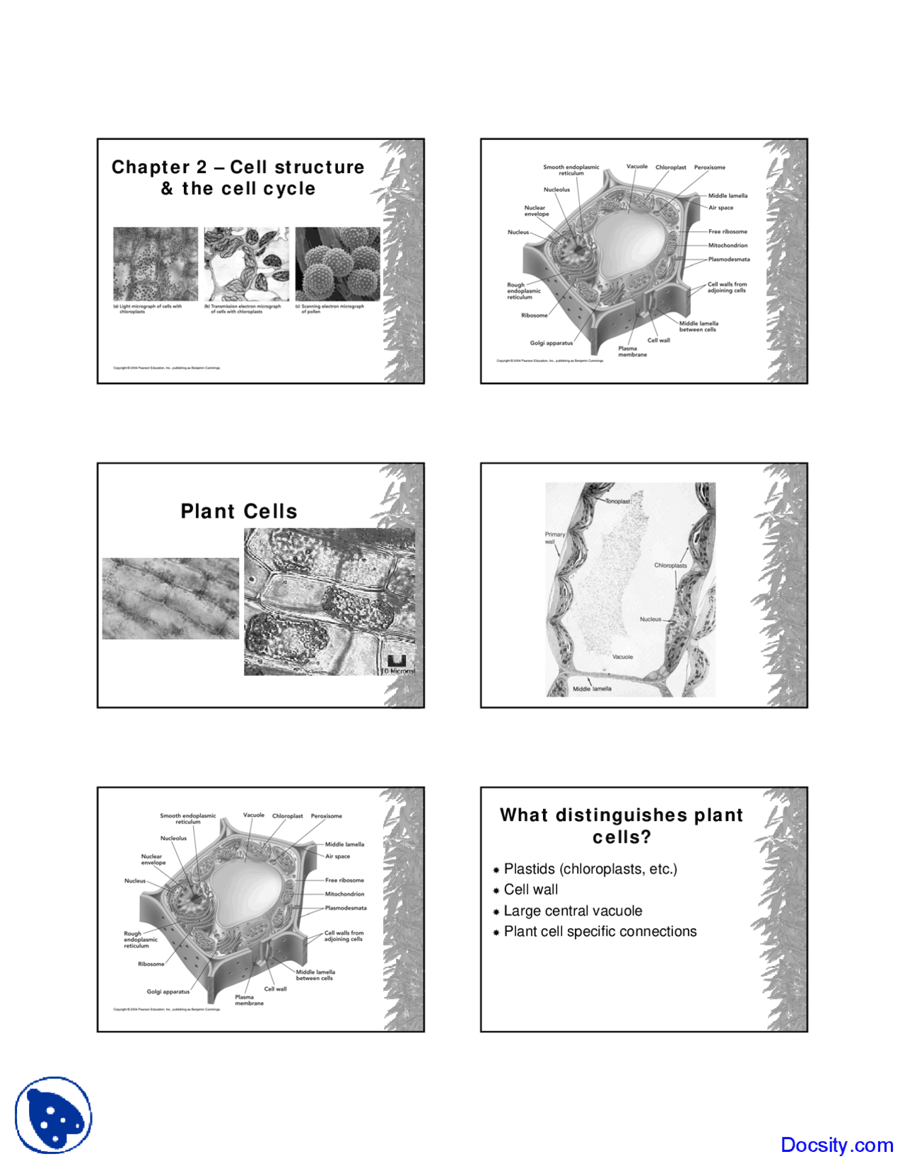 Cell Structure Fundamentals Of Botany Lecture Slides Docsity