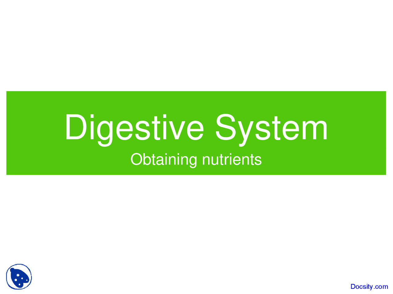 Digestive System - General Biology Plant and Animal Systems - Lecture ...