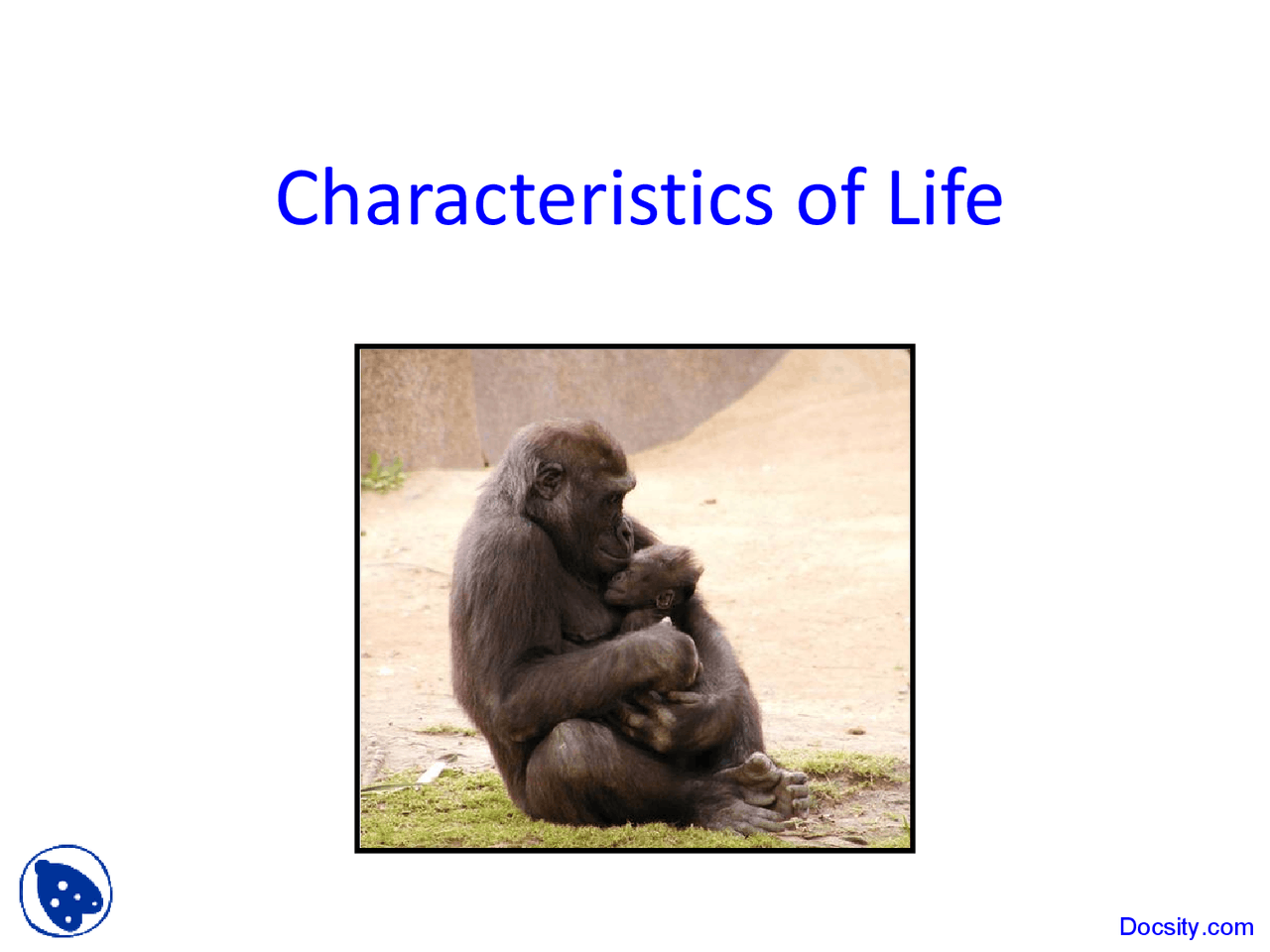 Characteristics of Life - Human Biology - Lecture Slides | Slides Human ...