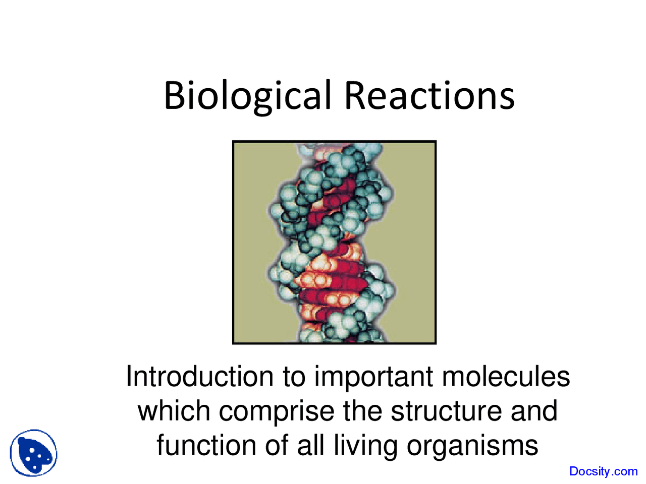 Biological Reactions - Human Biology - Lecture Slides - Docsity