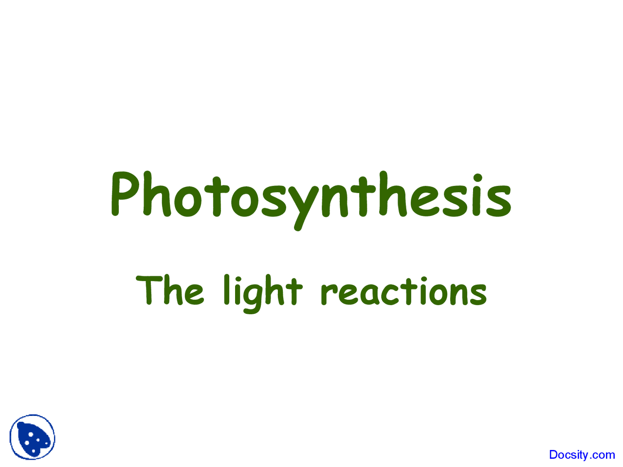 Photosynthesis General Botany Lecture Slides Docsity