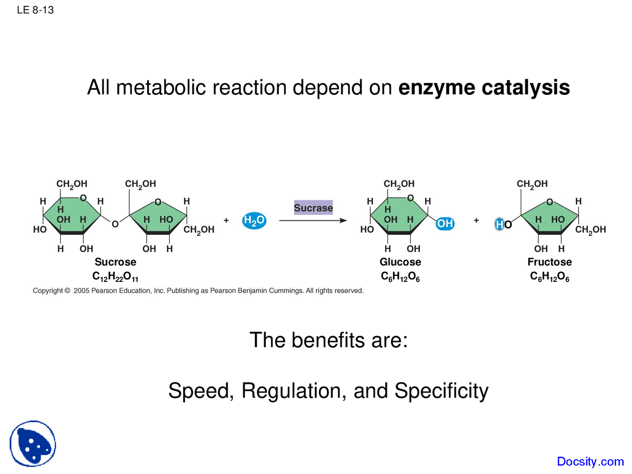 Enzyme Catalysis Fundamentals Of Biology Lecture Slides Docsity