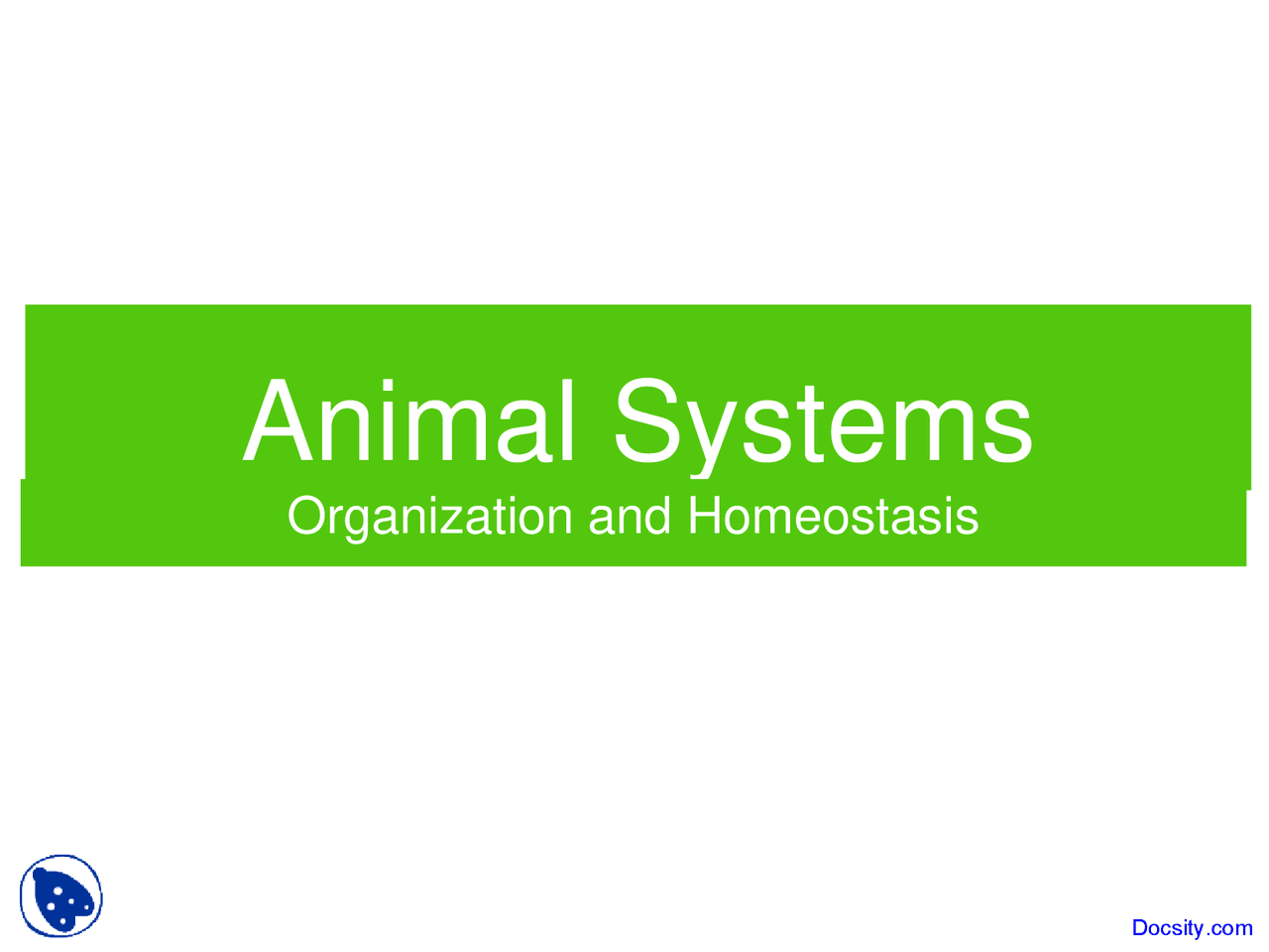 Animal Systems - General Biology Plant and Animal Systems - Lecture ...