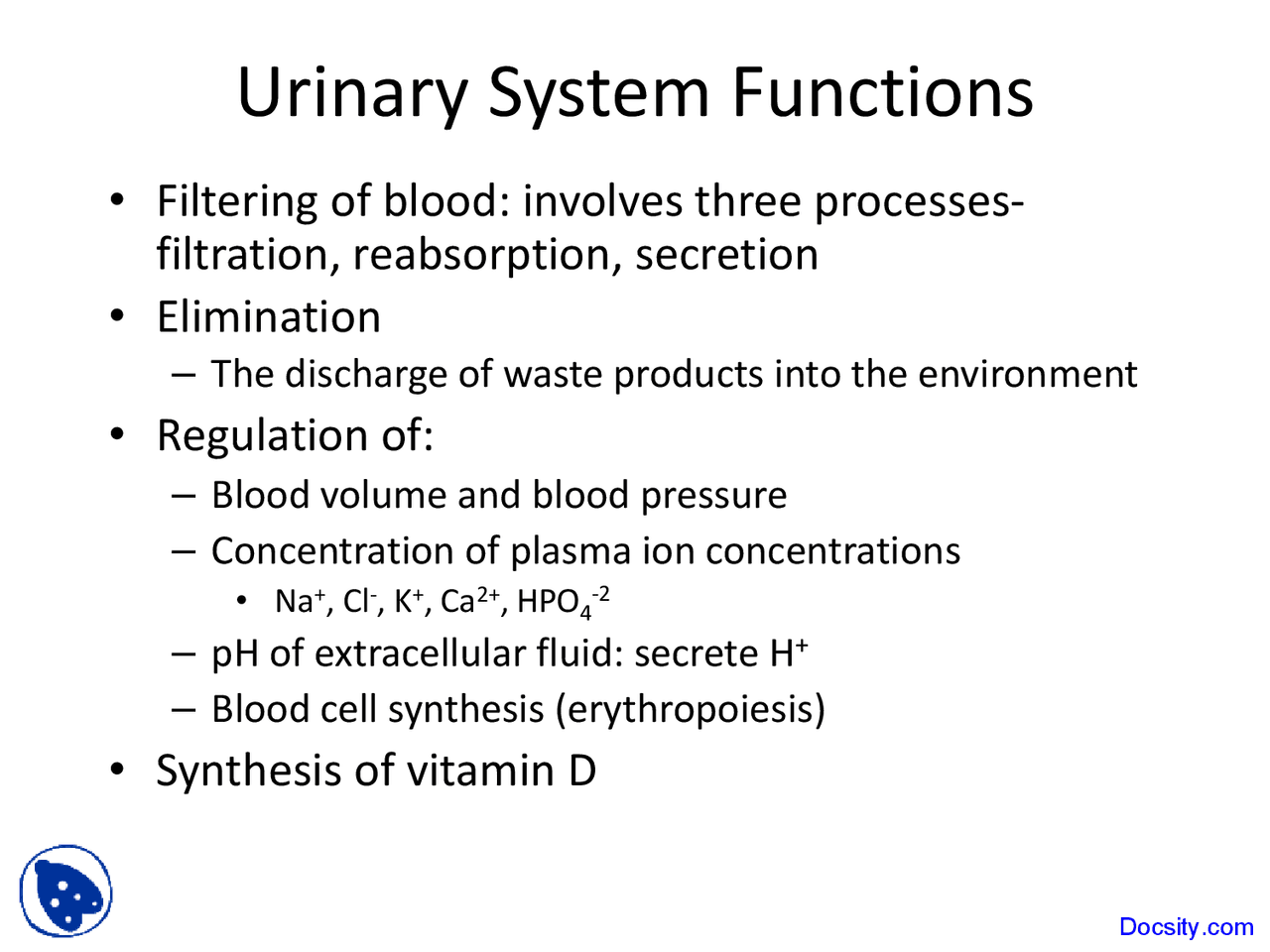 Urinary System Functions - Physiology and Anatomy - Lecture Slides ...