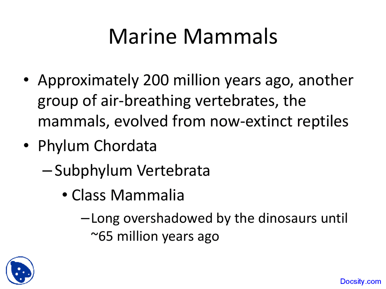 Marine Mammals - Marine Biology - Lecture Slides - Docsity