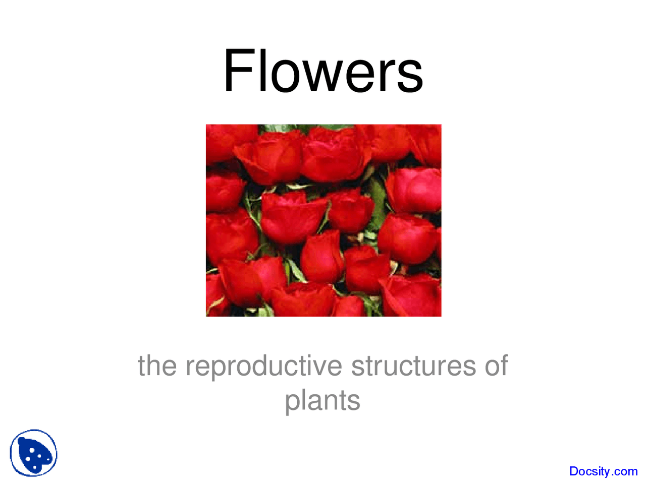Flowers Plant Science Lecture Slides Docsity