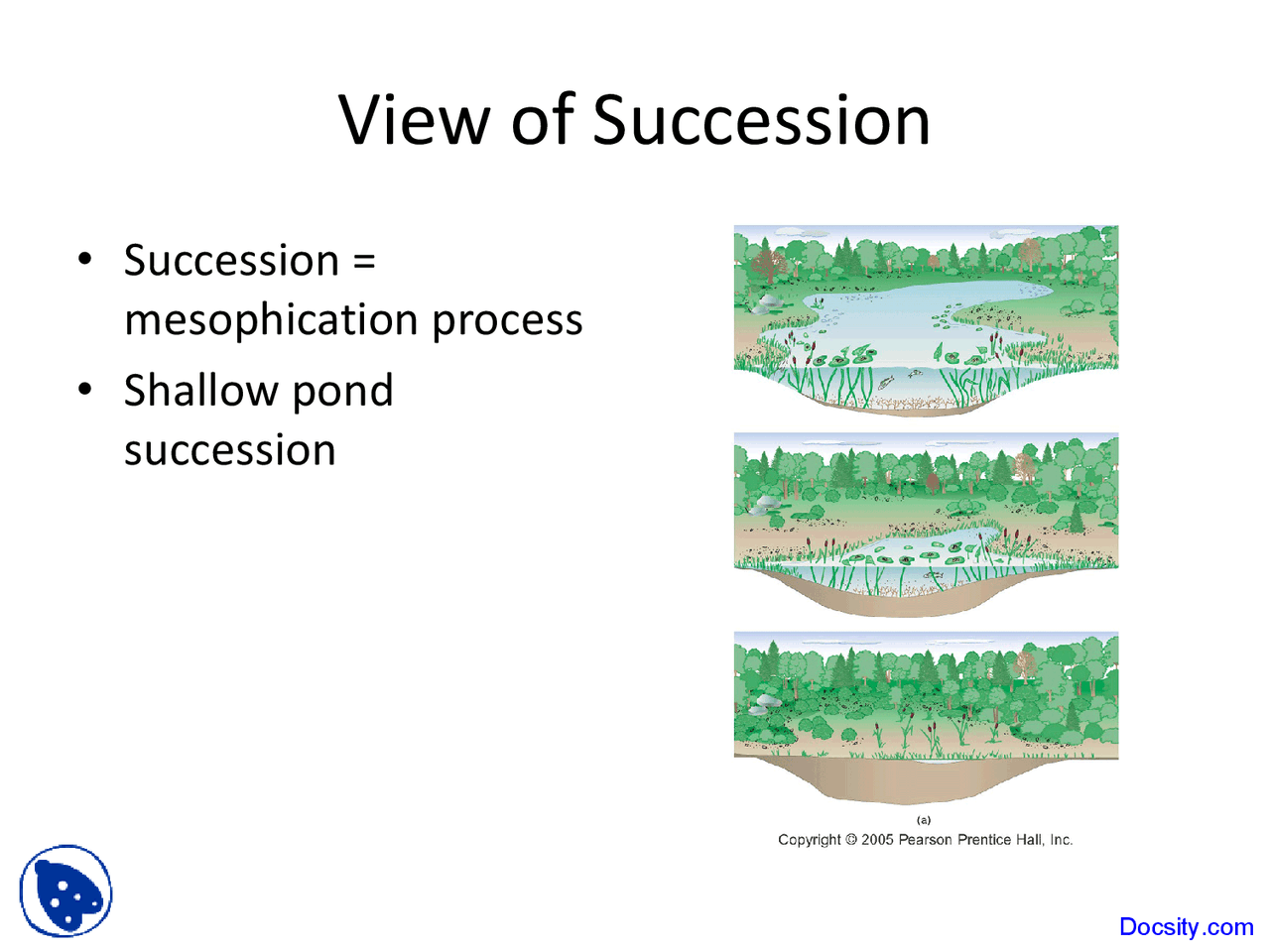 View Of Succession Introduction To Community Ecology Lecture Slides