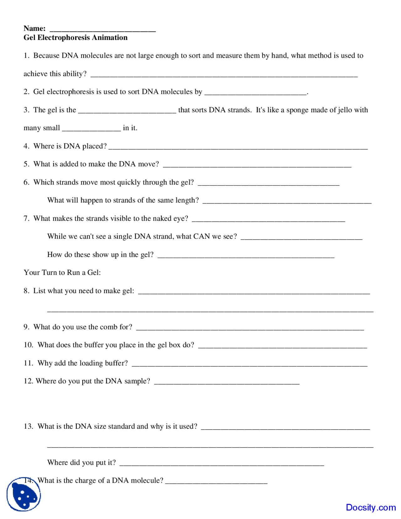 Gel Electrophoresis Animation - Introductory Biology - Quiz - Docsity