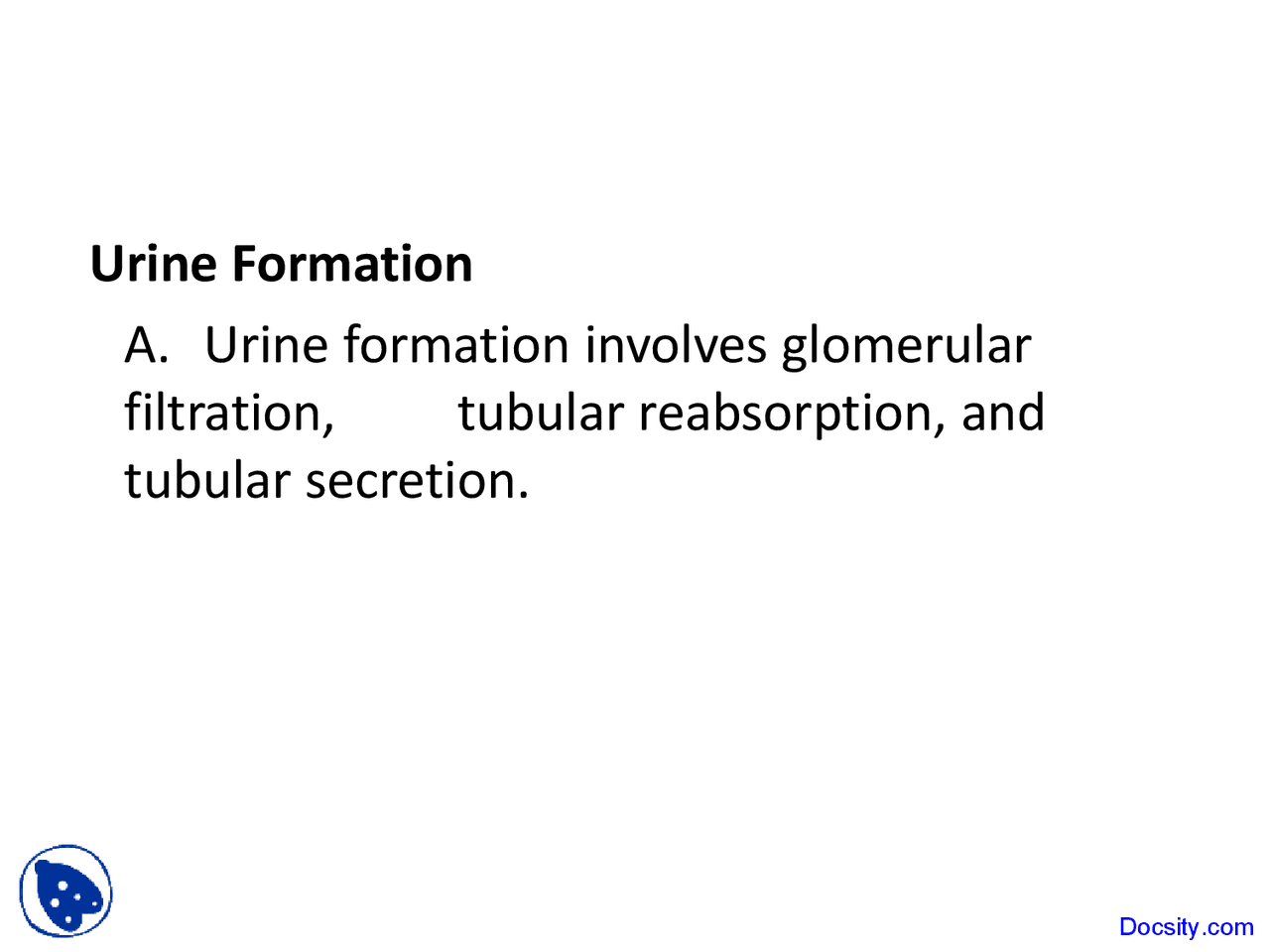 Urine Formation - Physiology and Anatomy - Lecture Slides - Docsity