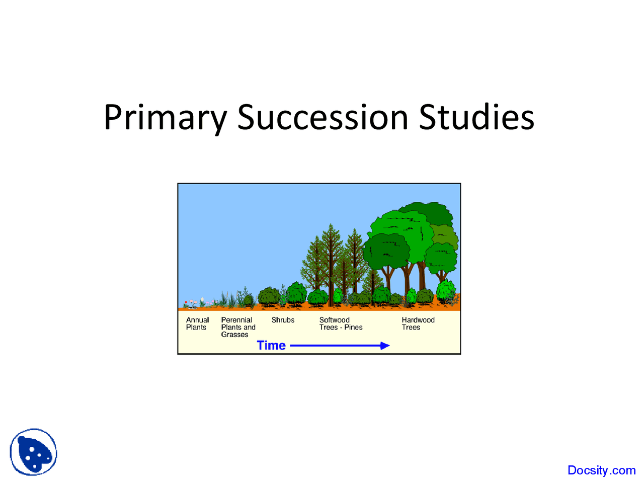 Primary Succession Studies - Introduction to Community Ecology - Lecture Slides - Docsity