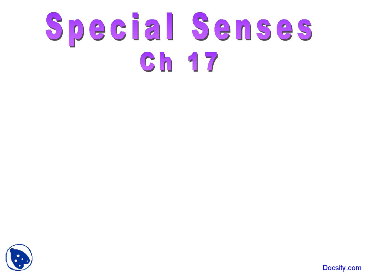 Special Senses Physiology And Anatomy Lecture Slides Slides