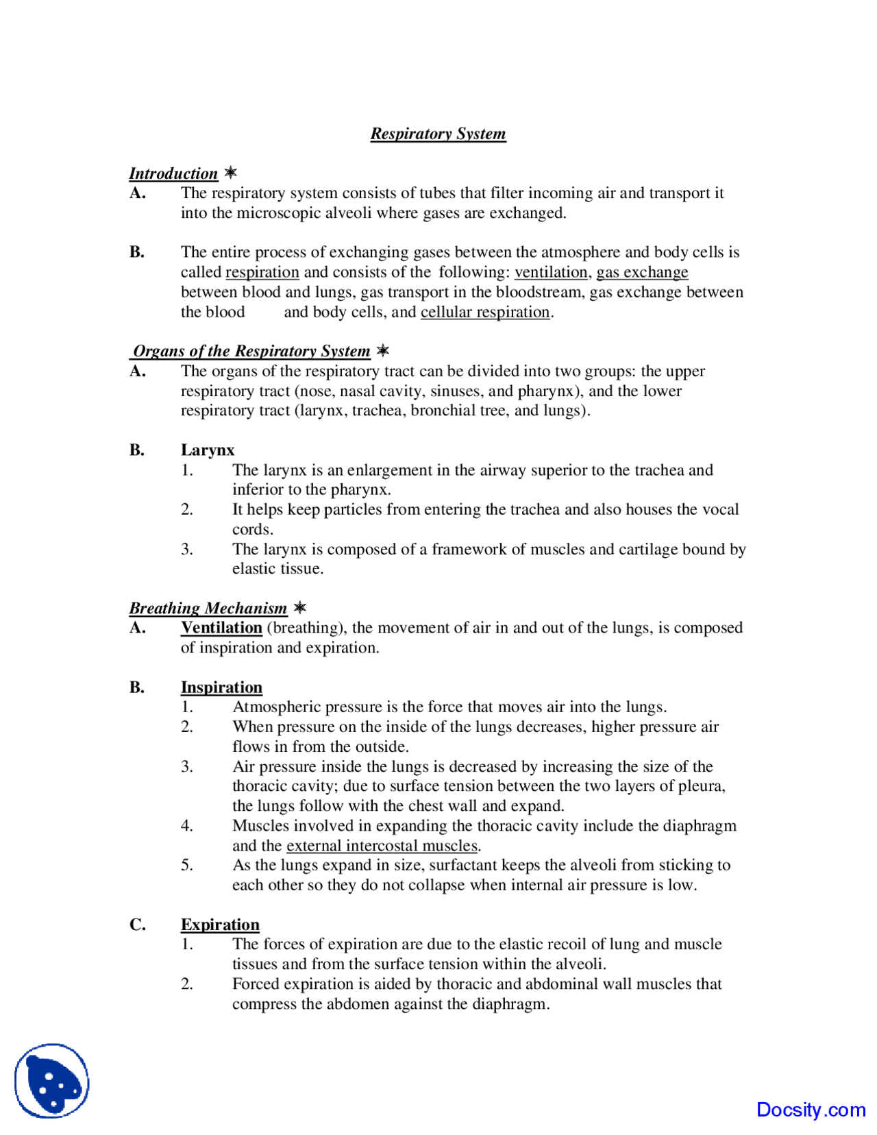 Respiratory System Physiology And Anatomy Lecture Notes Docsity