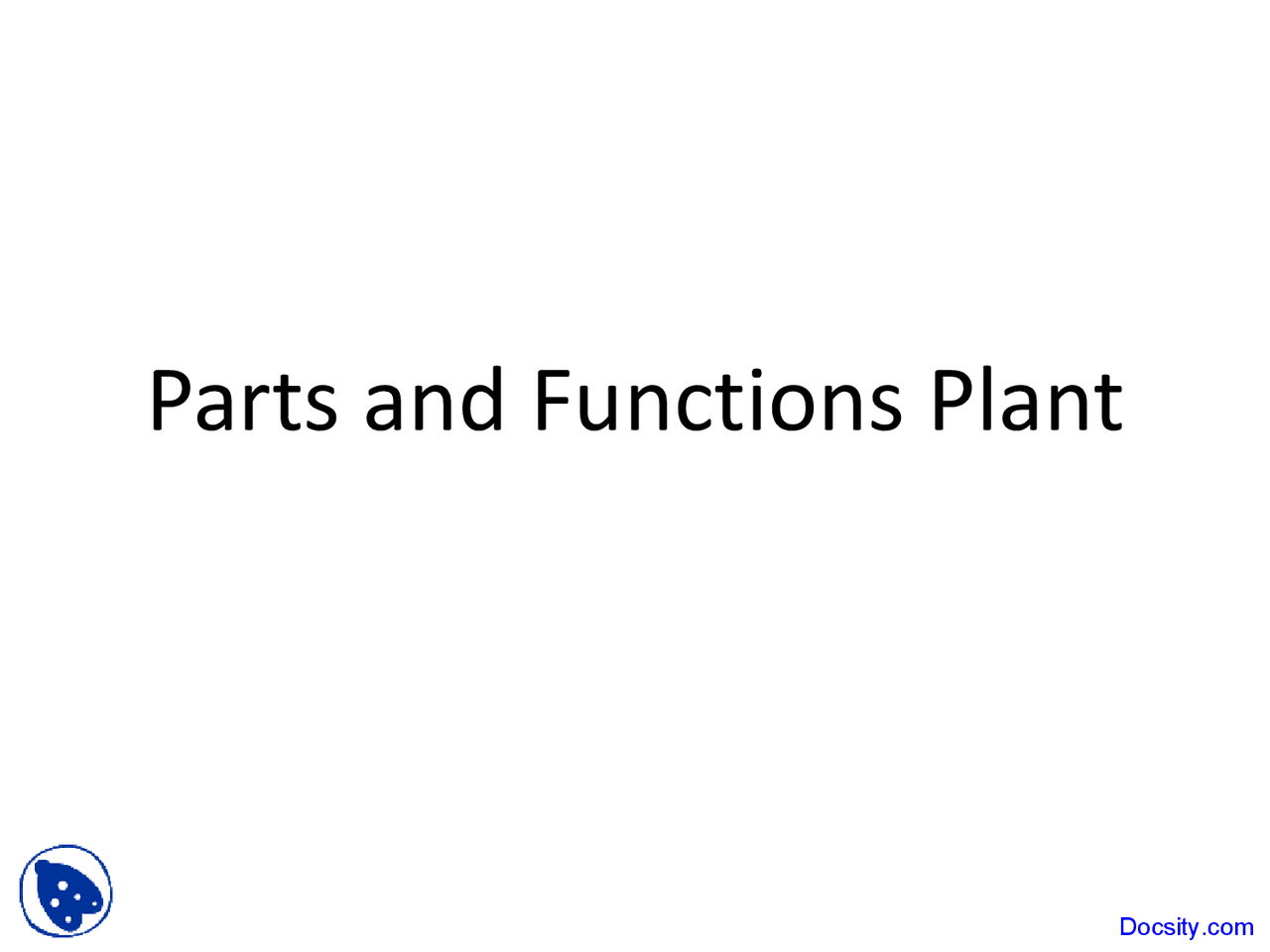 Parts And Functions Plant Plant Science Lecture Slides Docsity
