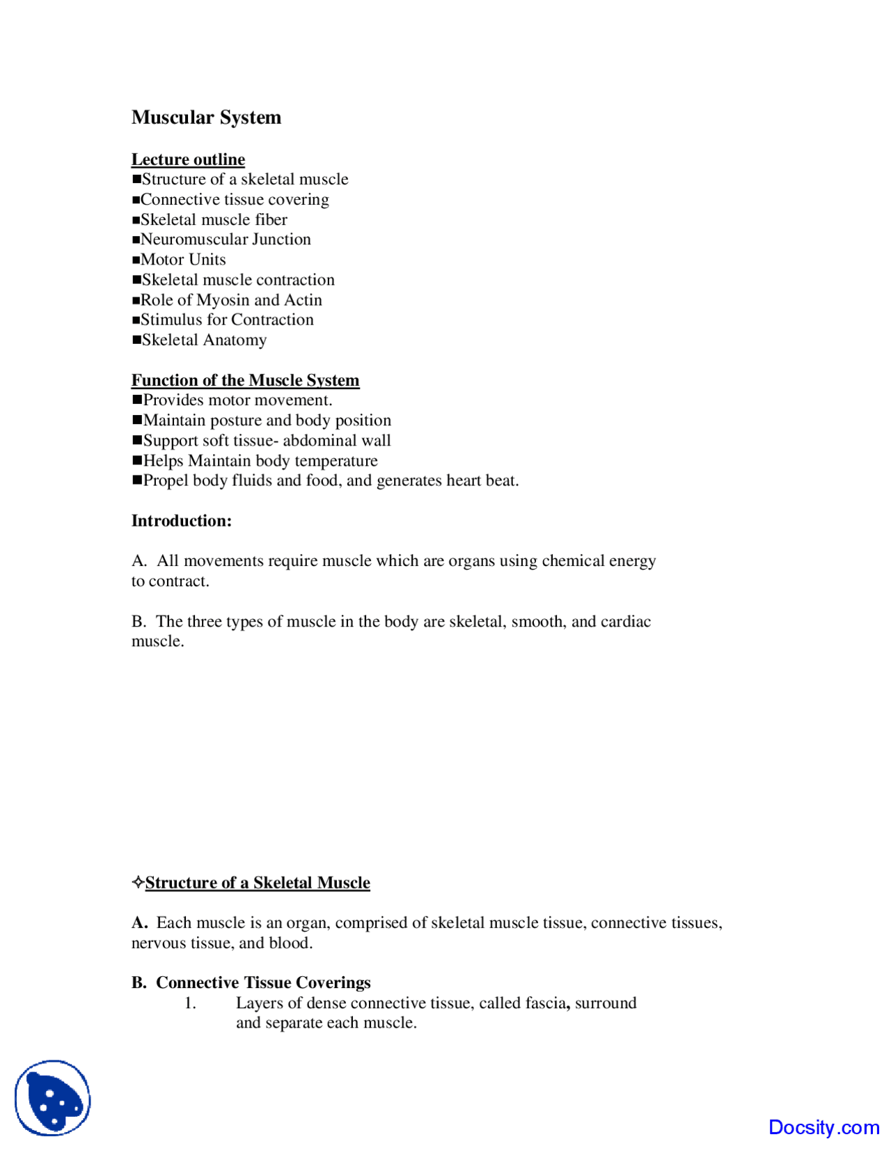 Muscular System - Physiology and Anatomy - Lecture Notes - Docsity