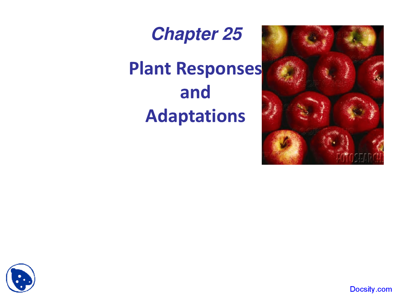 Plant Responses and Adaptations, Photosynthesis - Biology - Lecture ...