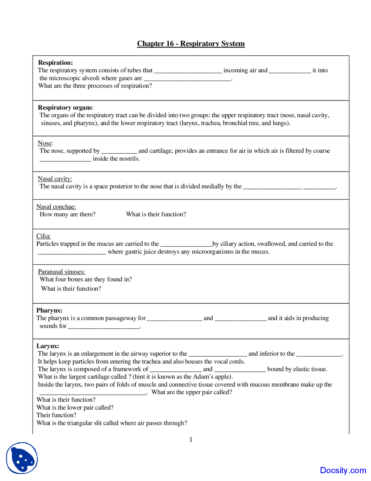 Respiratory System - Physiology and Anatomy - Quiz | Exercises ...