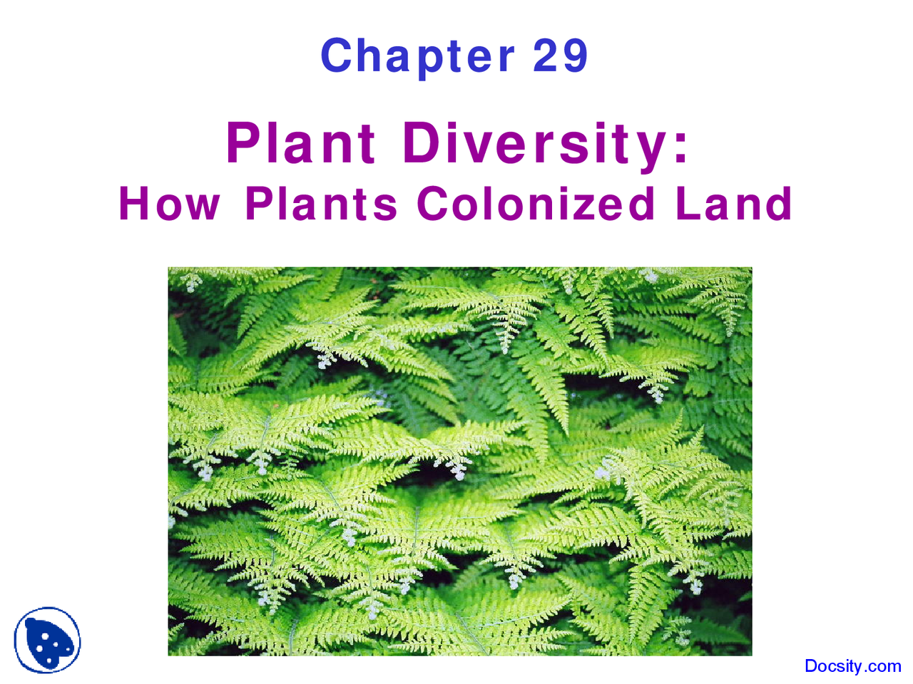 Plants Colonized Land Biology For Science Lecture Slides Docsity