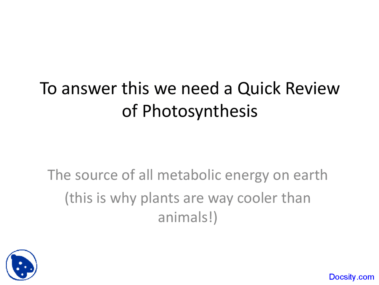 Review of Photosynthesis - Principles of Biology - Lecture Slides - Docsity
