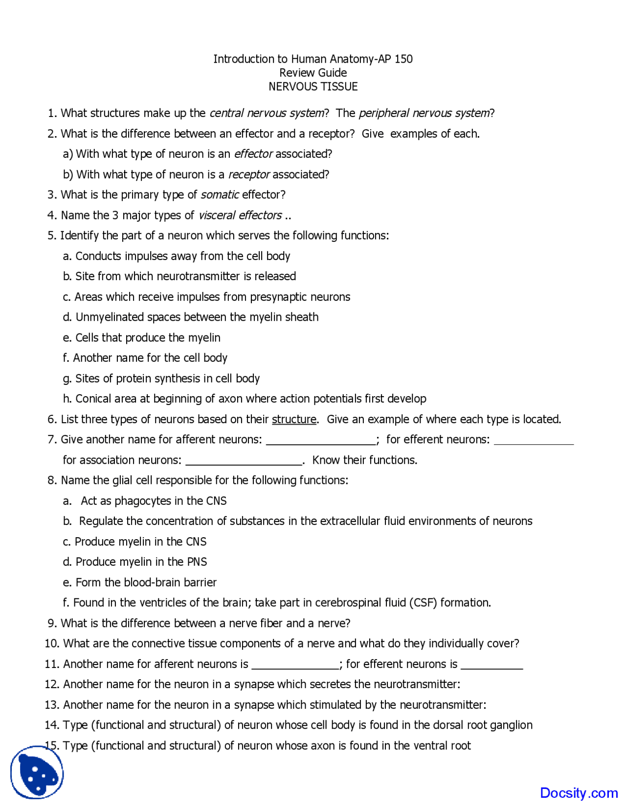 Nevous Tissues Physiology And Anatomy Quiz Docsity