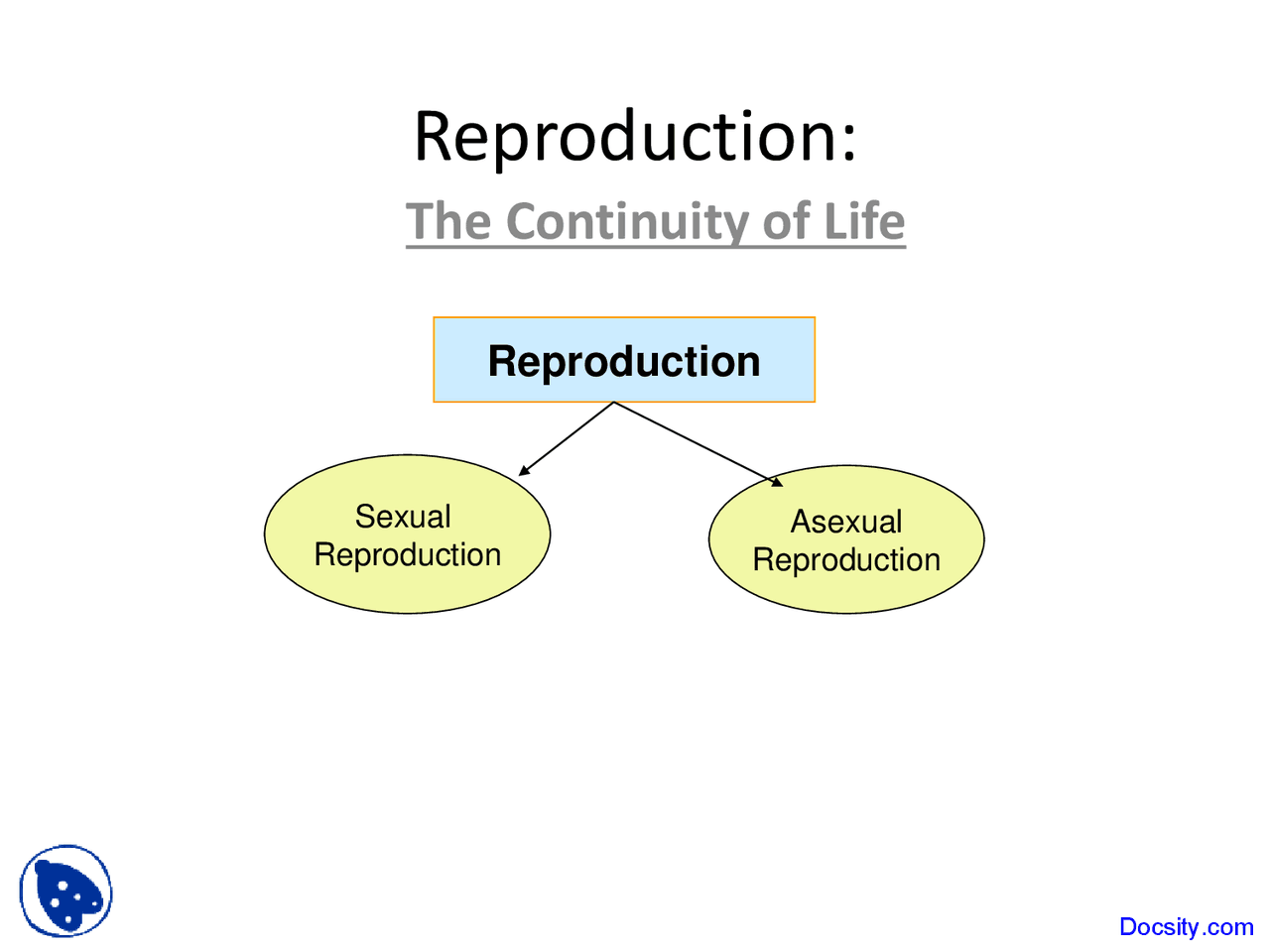 Continuity of Life, Reproduction - Biology - Lecture Slides - Docsity