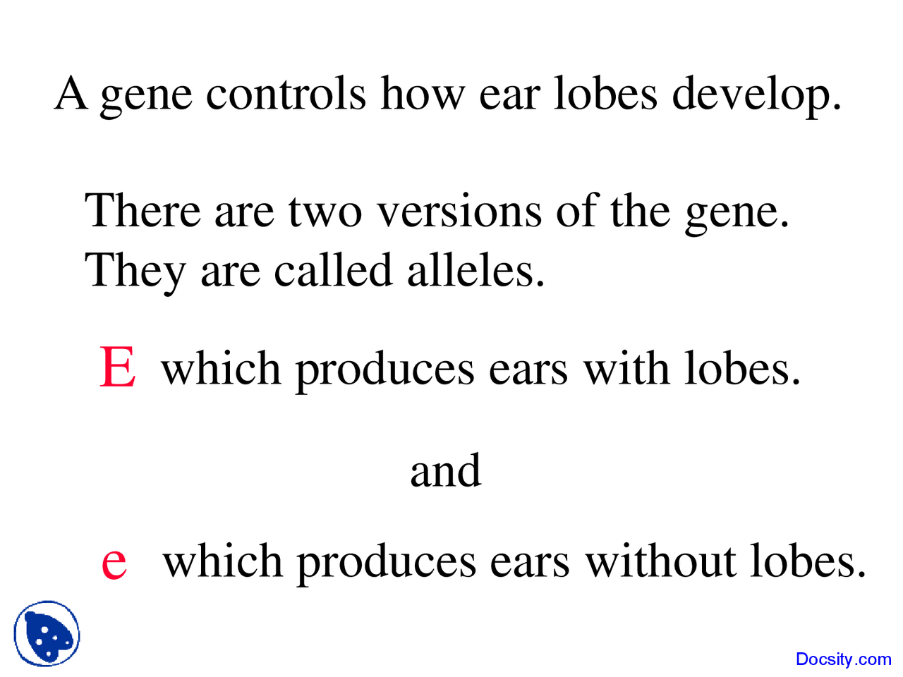 Gene Controls Genetics Biology Lecture Slides Docsity