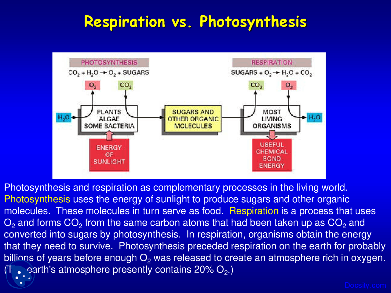 Respiration Versus Photosynthesis, Photosynthesis - Biology - Lecture ...