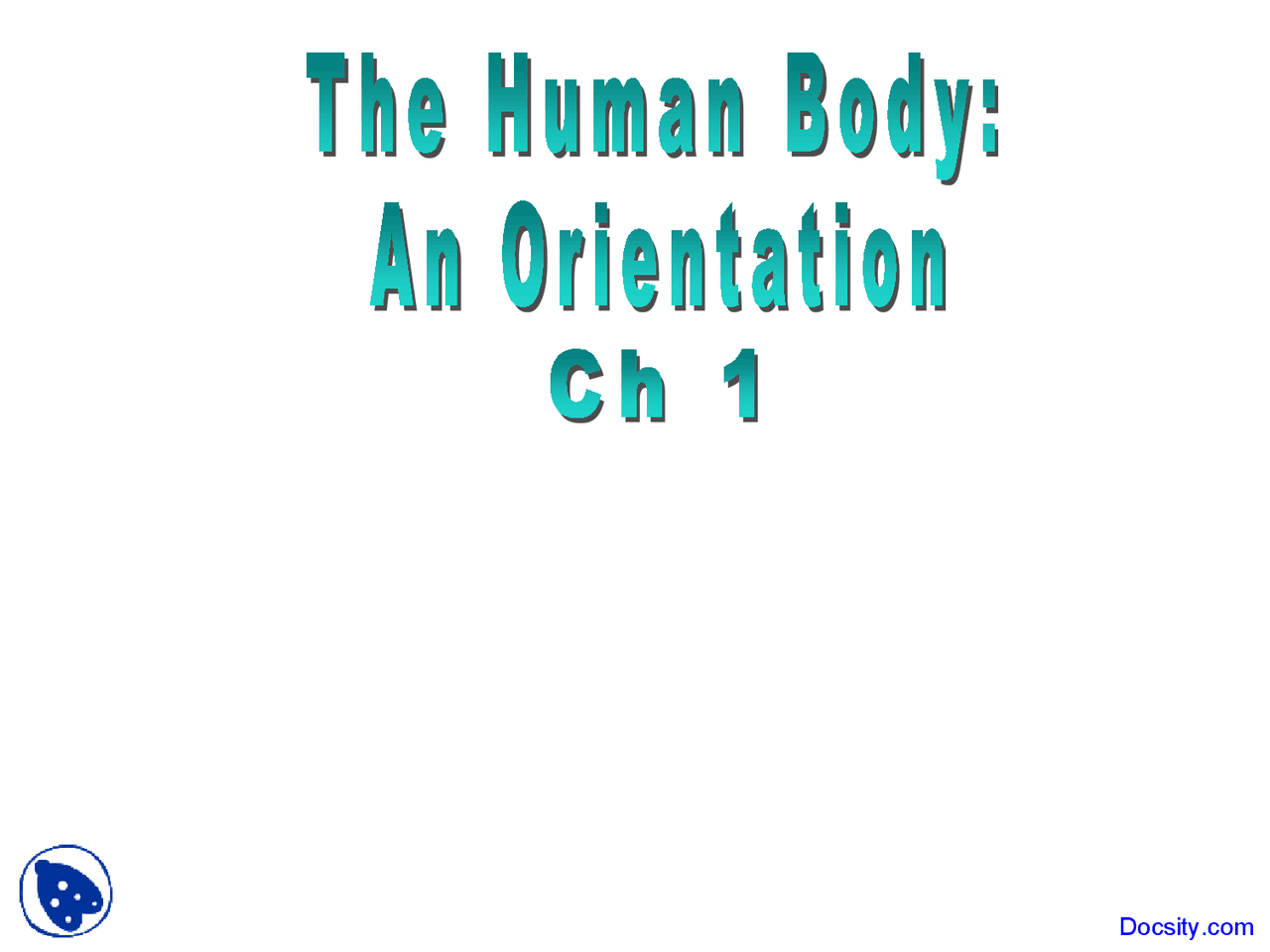 Human Body Physiology And Anatomy Lecture Slides Docsity