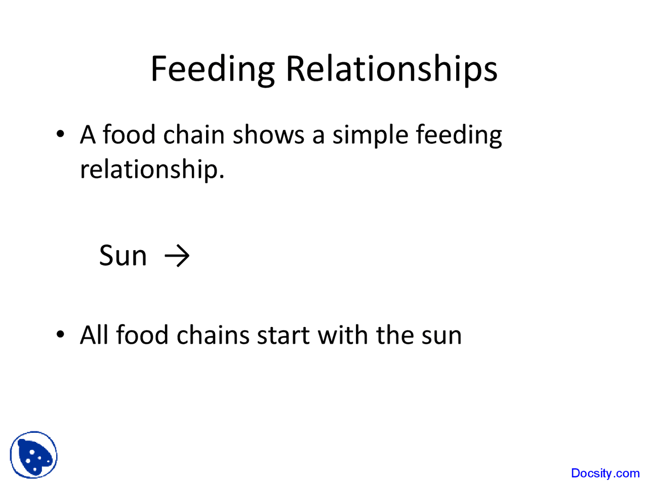 Feeding Relationships, Ecology - Biology - Lecture Slides - Docsity