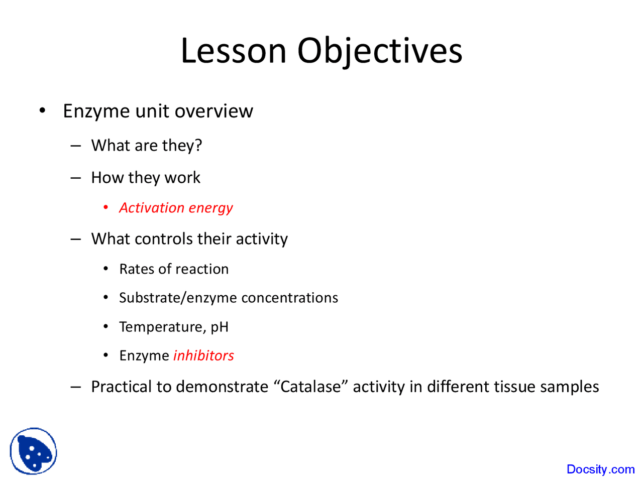 Enzyme Unit, Enzymes - Biology - Lecture Slides - Docsity
