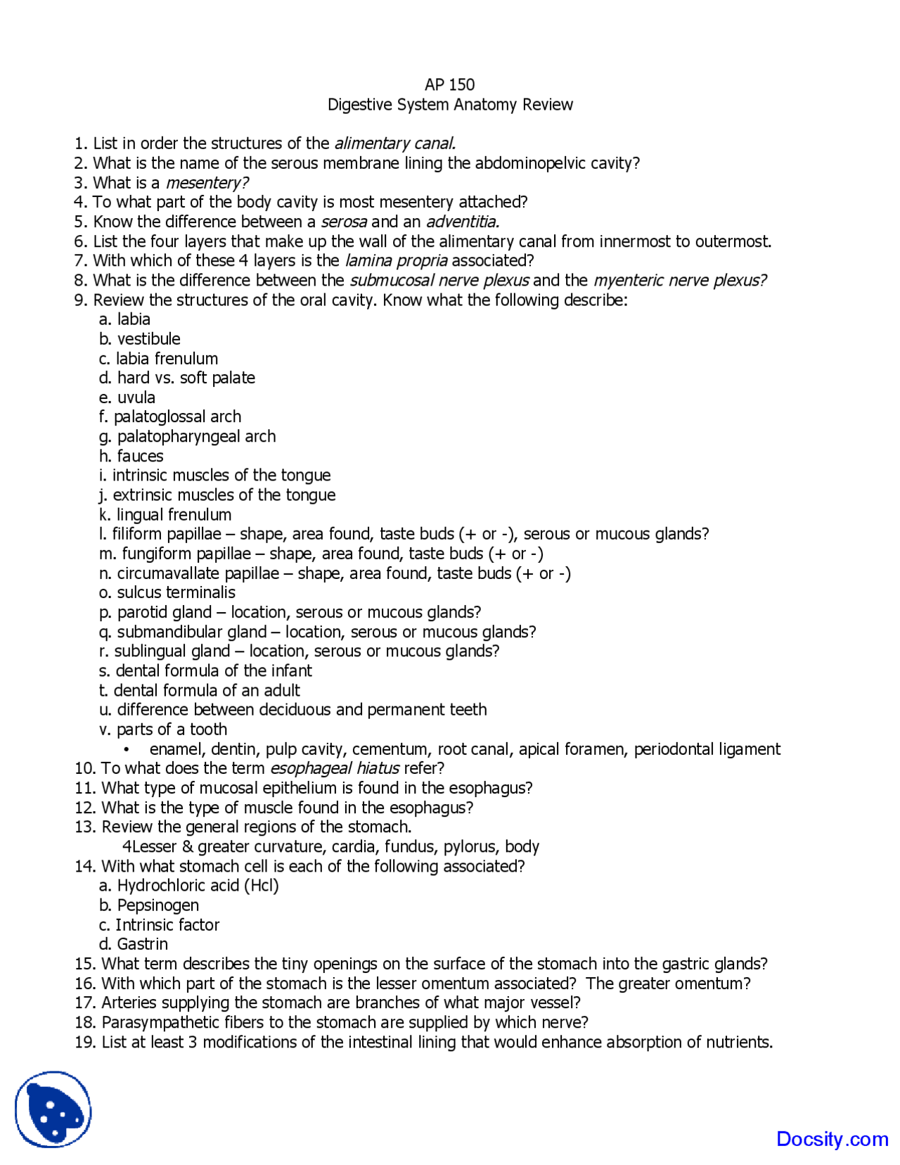 Digestive System Anatomy Physiology And Anatomy Quiz Docsity