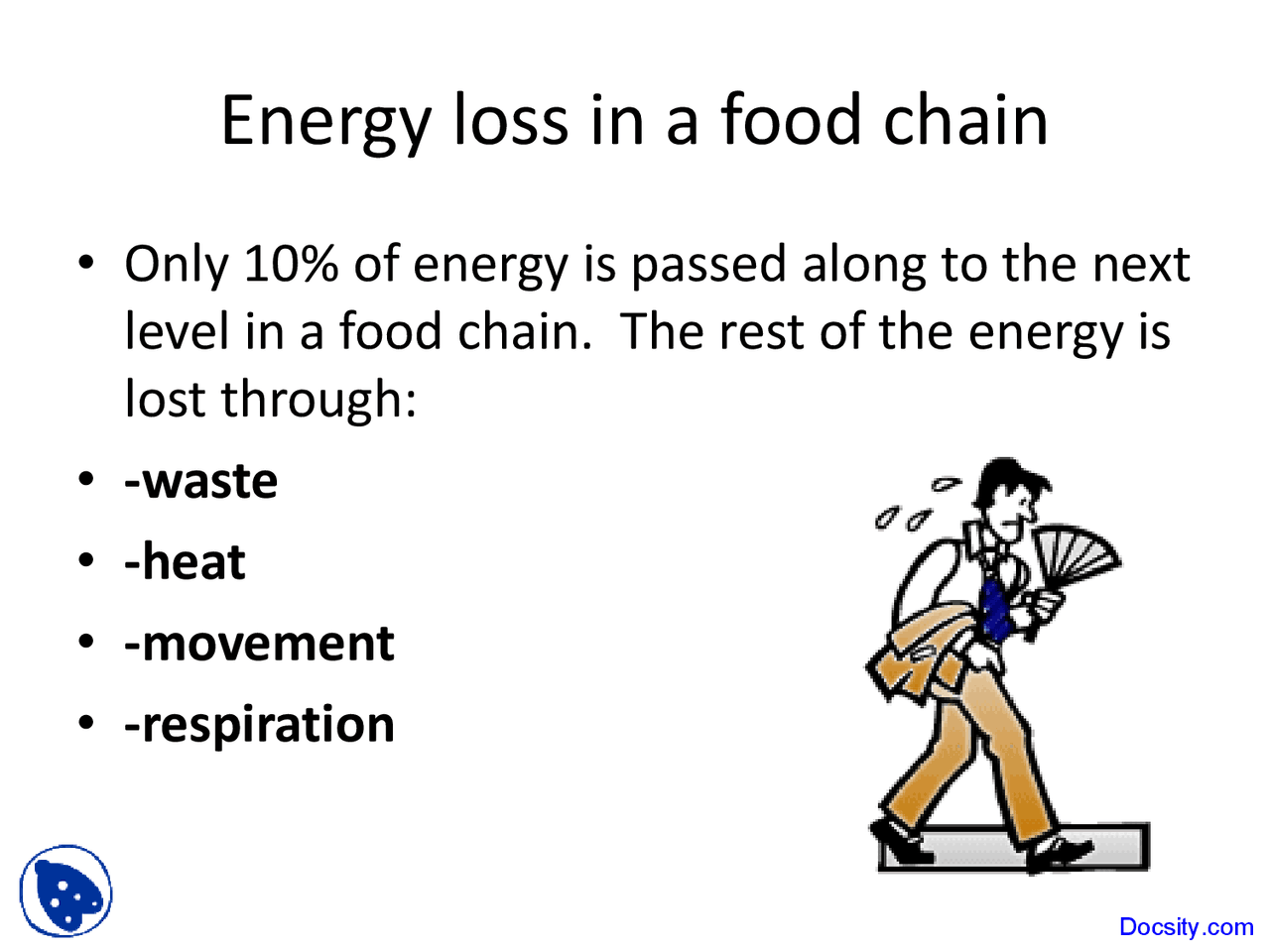 Energy Loss in Food Chain, Ecology - Biology - Lecture Slides - Docsity