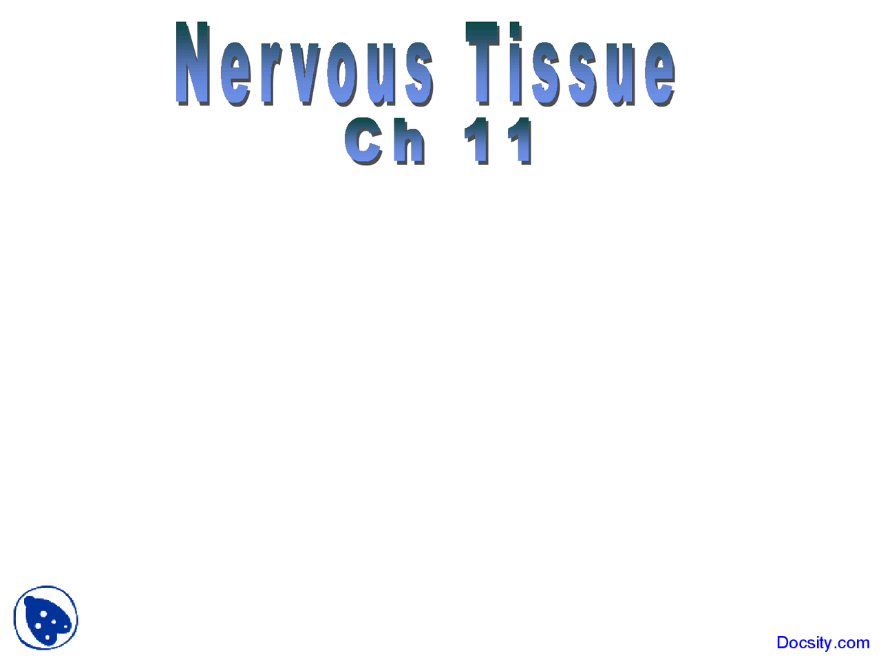 Nervous Tissue Physiology And Anatomy Lecture Slides Docsity
