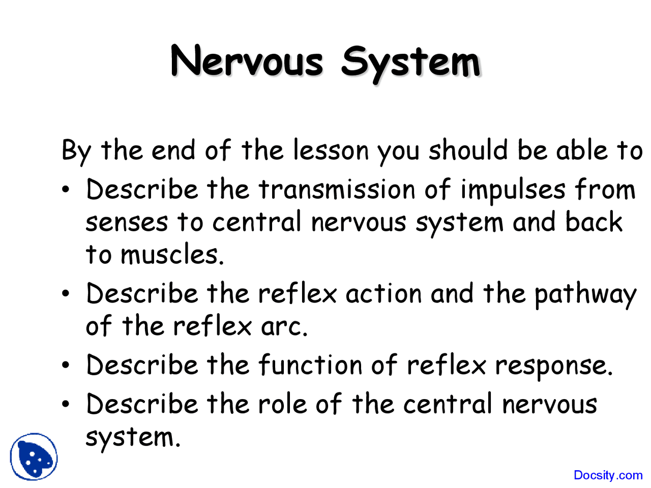 Nervous System Nerve Biology Lecture Slides Docsity