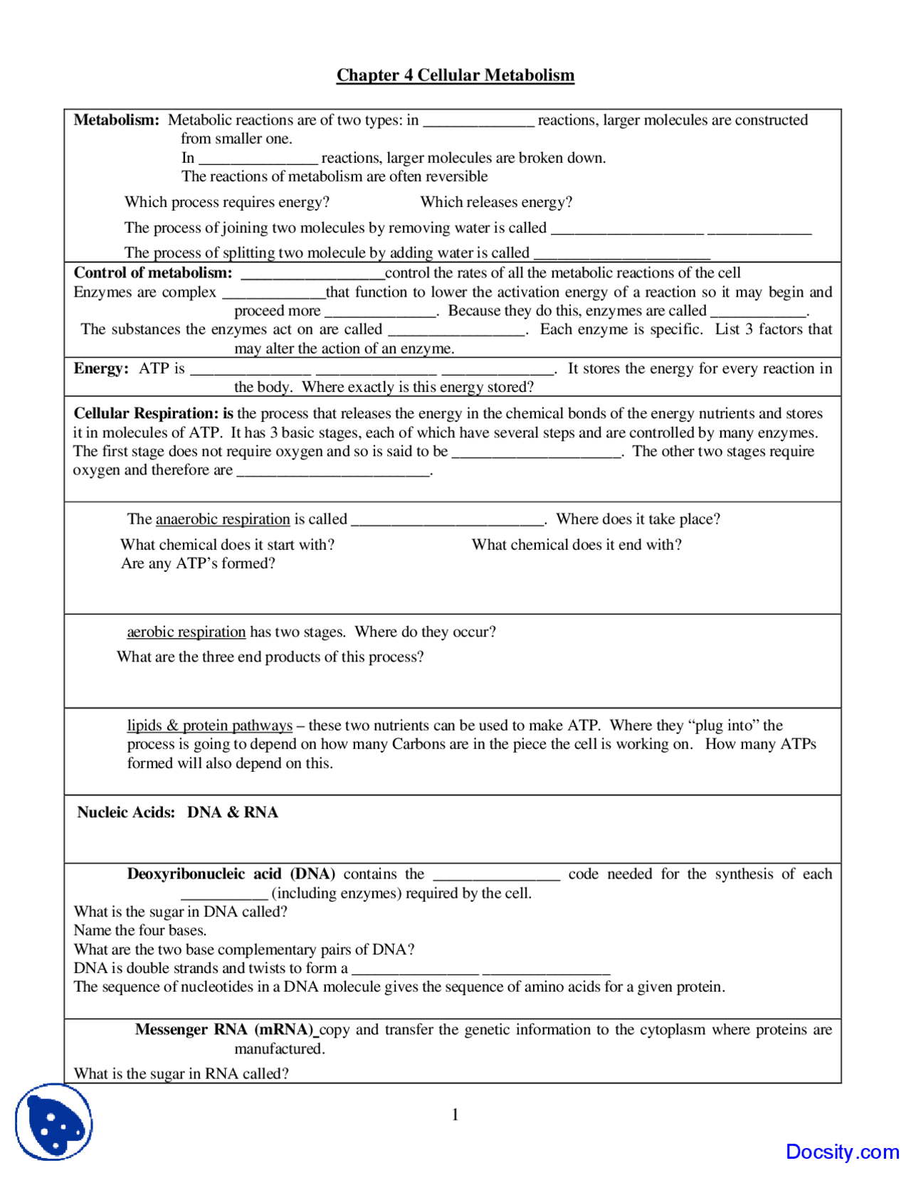 Cellular Metabolism Physiology And Anatomy Quiz Docsity