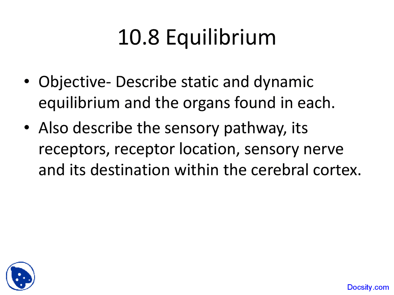 Equilibrium - Physiology and Anatomy - Lecture Slides - Docsity