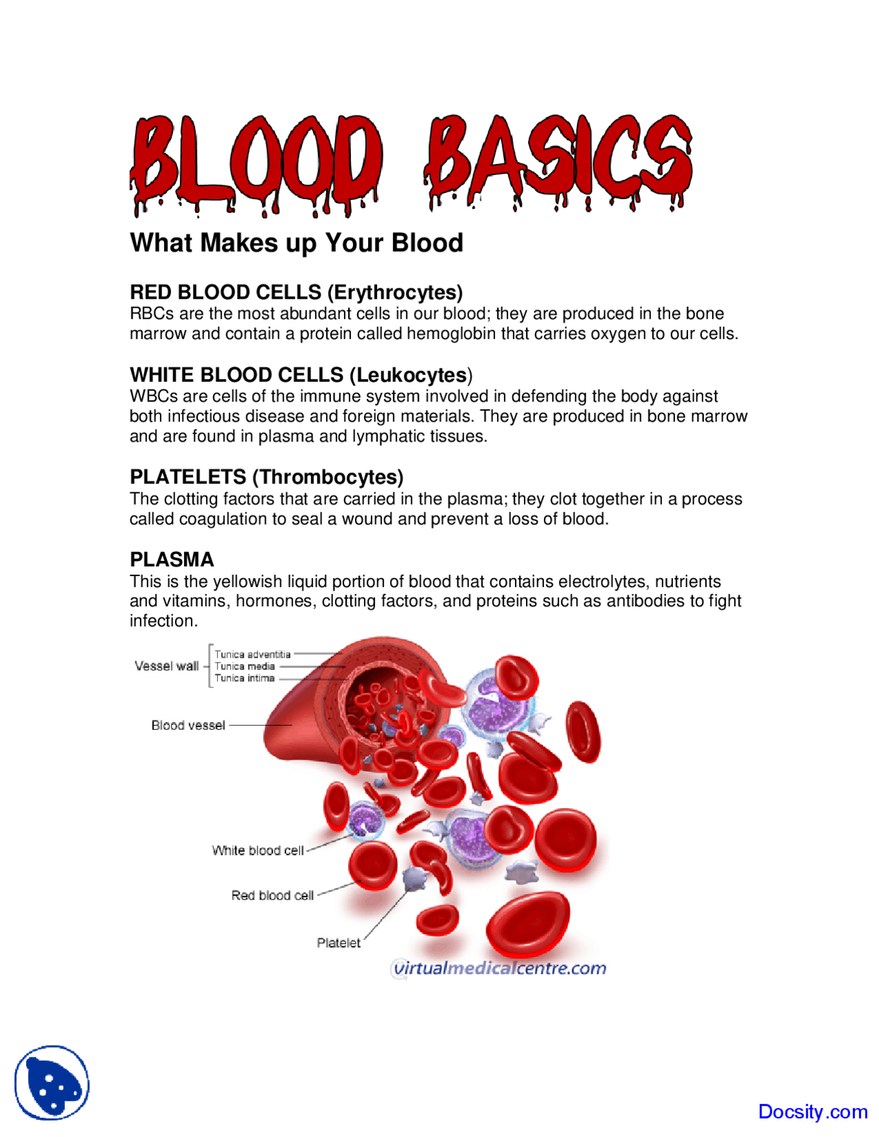 Red Blodd Cells - Biology and Society - Lecture Notes - Docsity