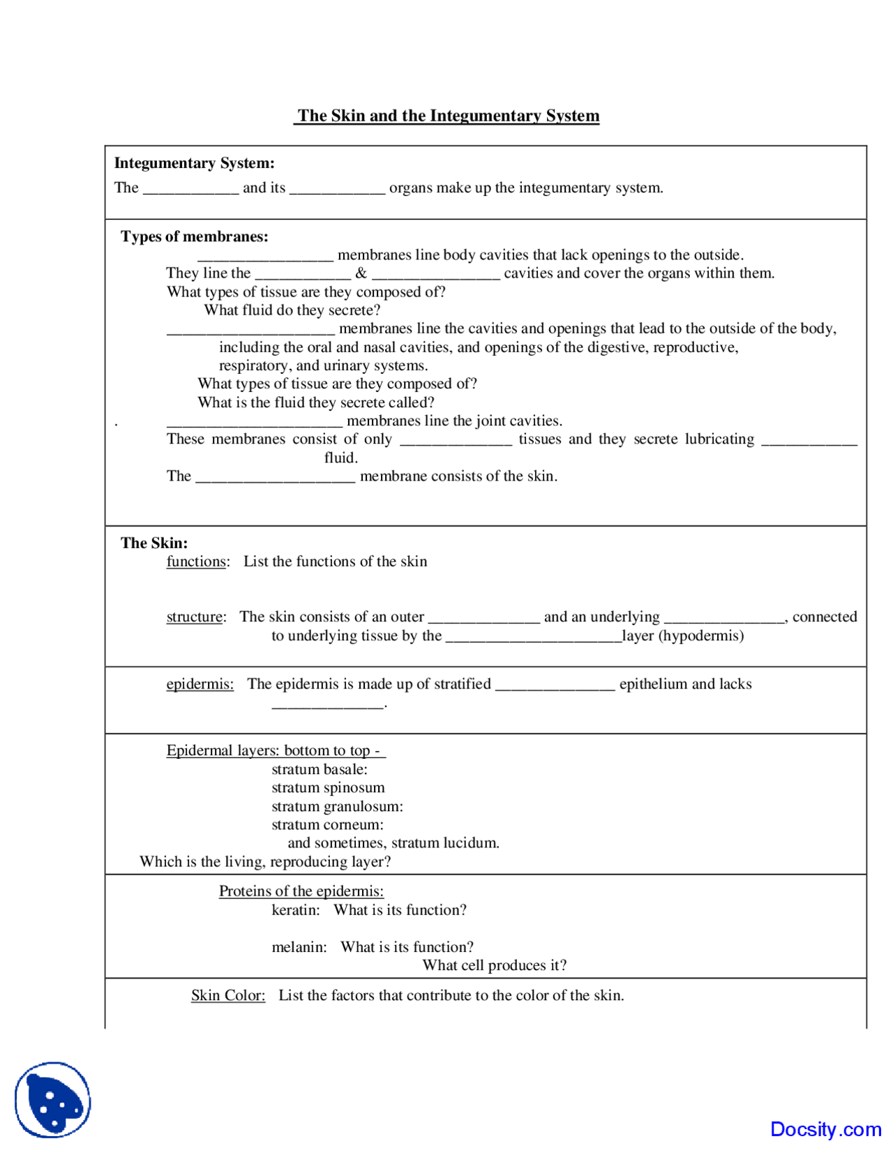 Skin and Integumentary System - Physiology and Anatomy - Quiz ...