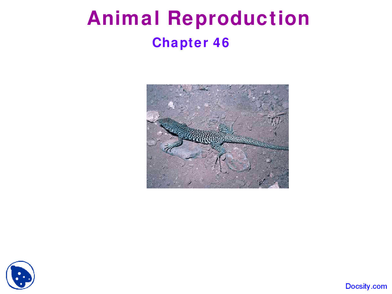 Animal Reproduction - Biology for Science - Lecture Slides - Docsity