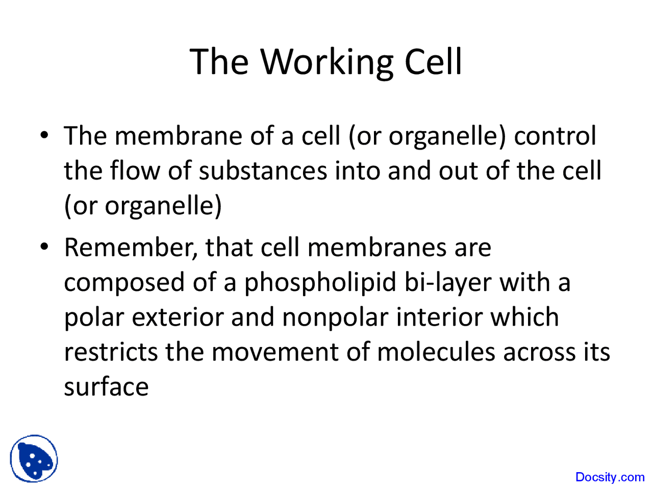 Working Cell - Principles of Biology - Lecture Slides - Docsity