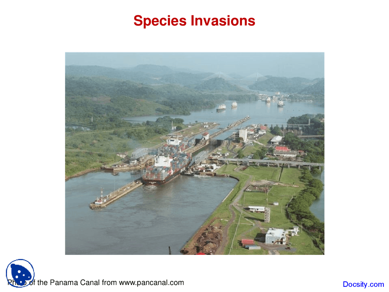 Invasions of Species - Introduction to Conservation Biology - Lecture ...