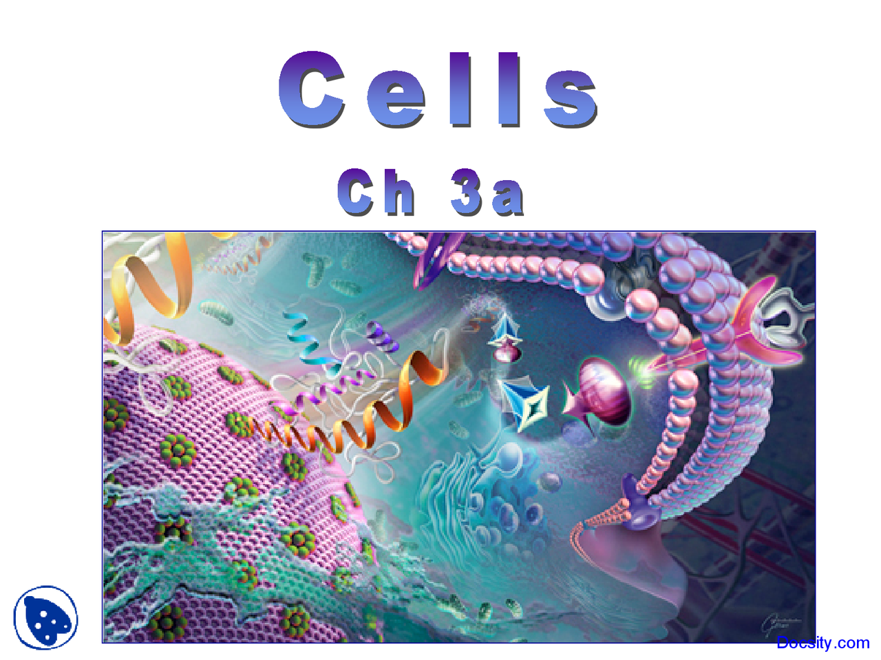 Cells Physiology And Anatomy Lecture Slides Slides Physiology