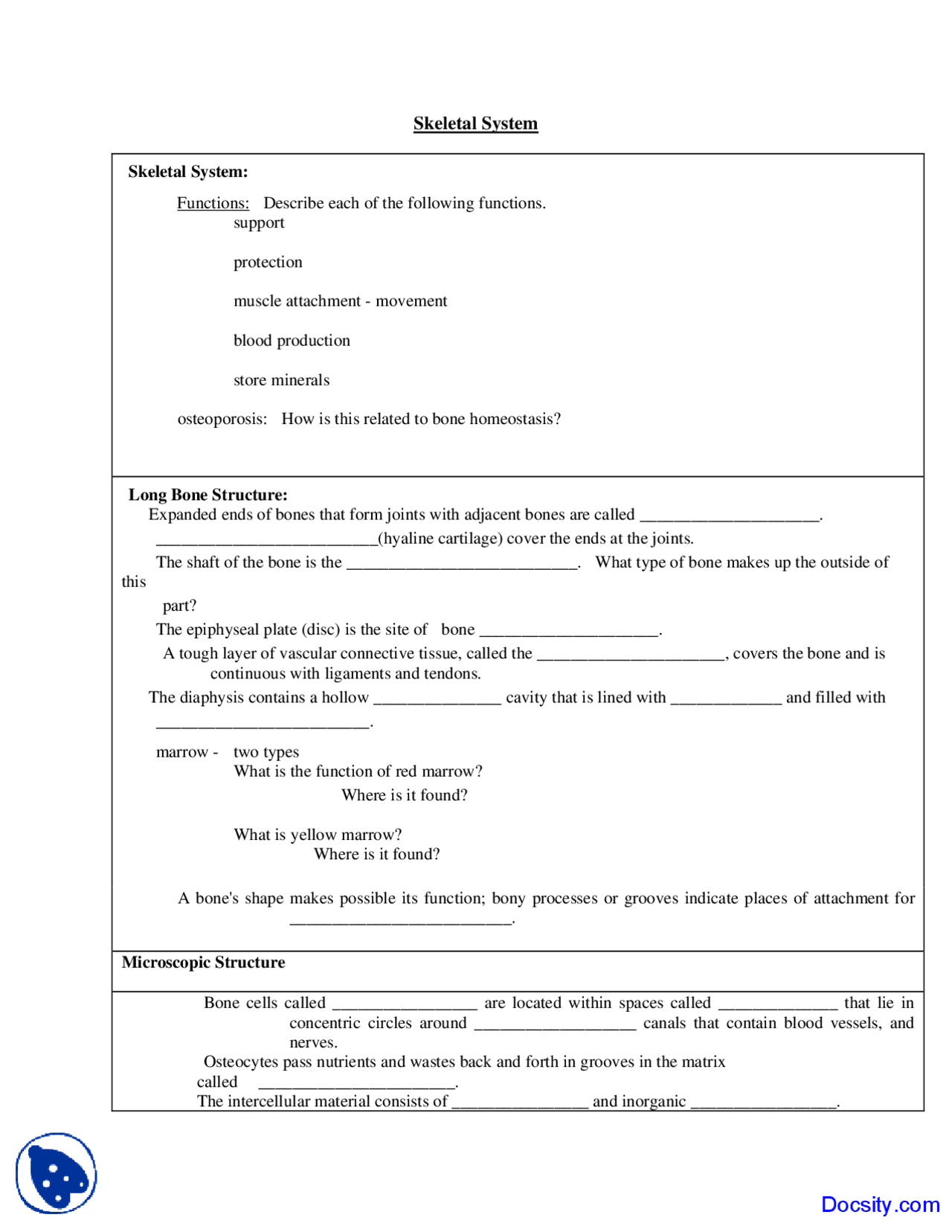 Skeletal System - Physiology and Anatomy - Quiz | Exercises Physiology ...