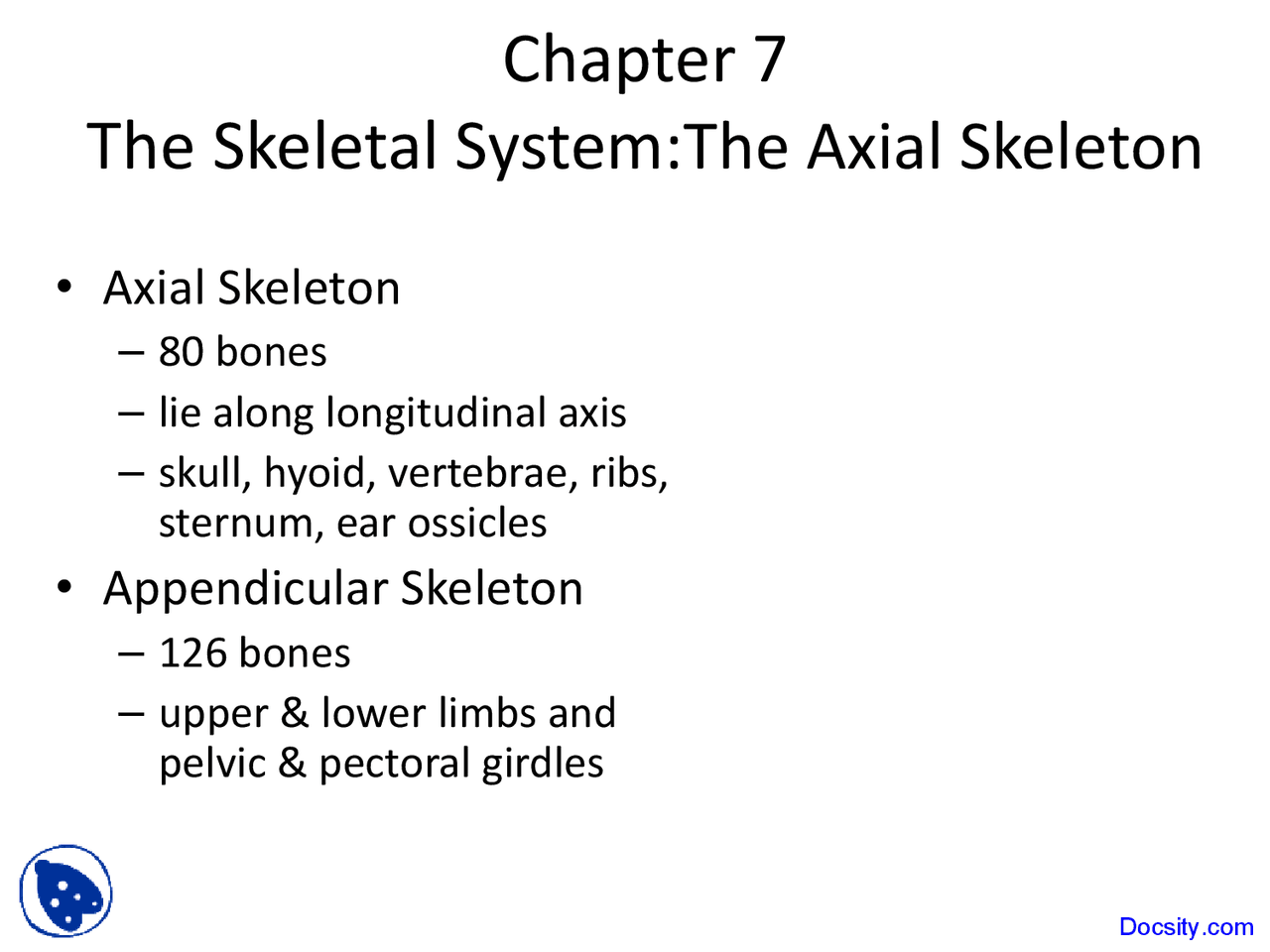 Axial Skeleton Physiology And Anatomy Lecture Slides Docsity
