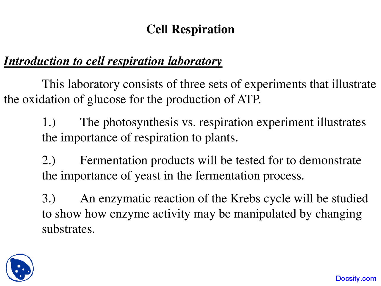 Cell Respiration, Photosynthesis - Biology - Lecture Slides - Docsity