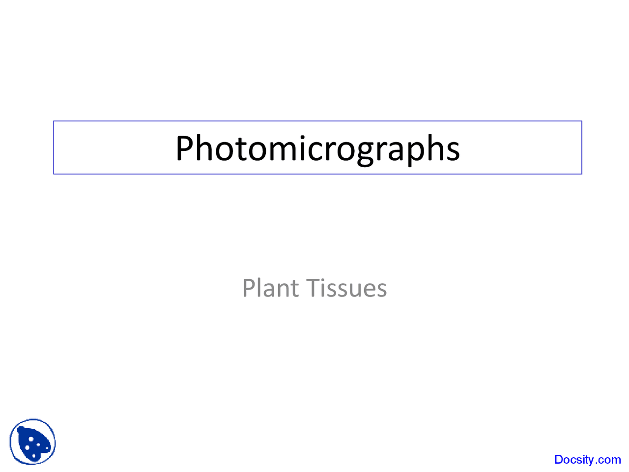Photomicrographs, Animals and Plants - Biology - Lecture Slides ...