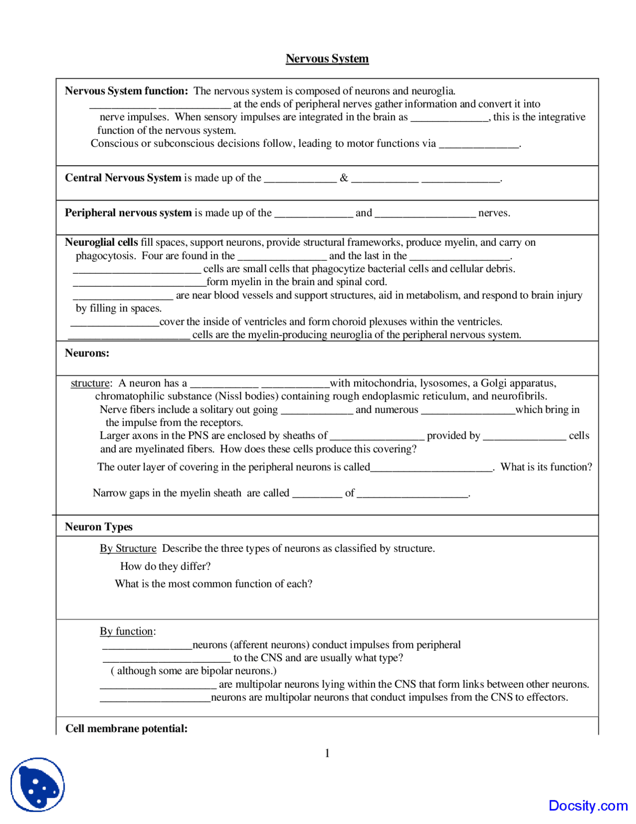 Nervous System Physiology And Anatomy Quiz Docsity